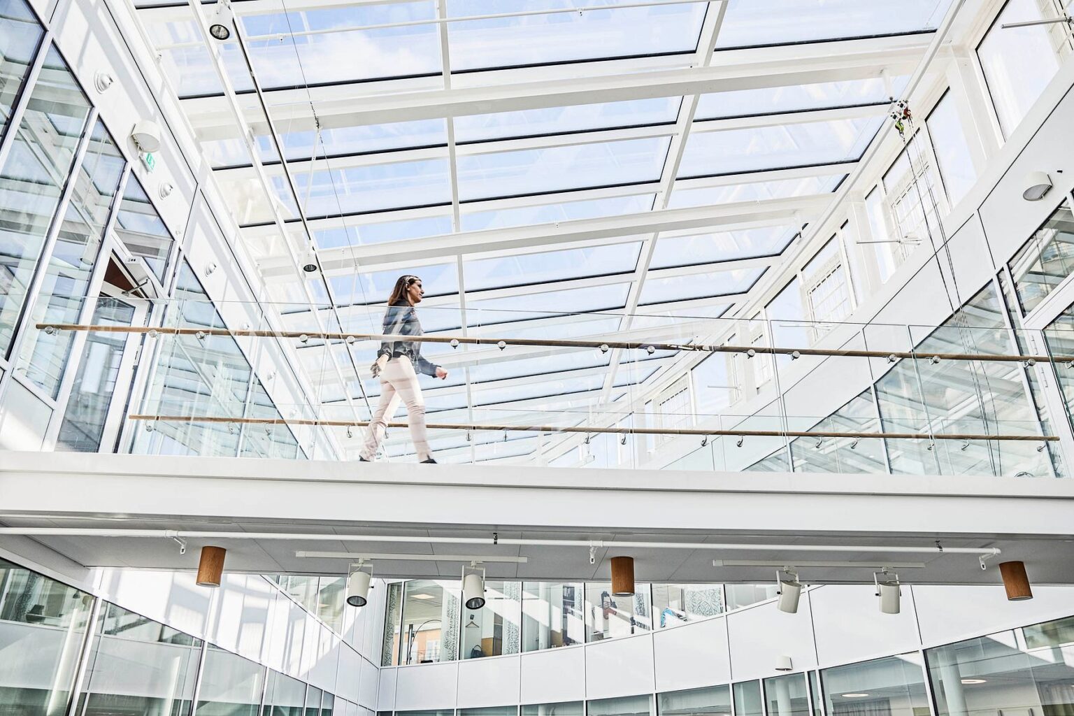 Sigma hjälper ditt företag att bli redo för FMD – Danir